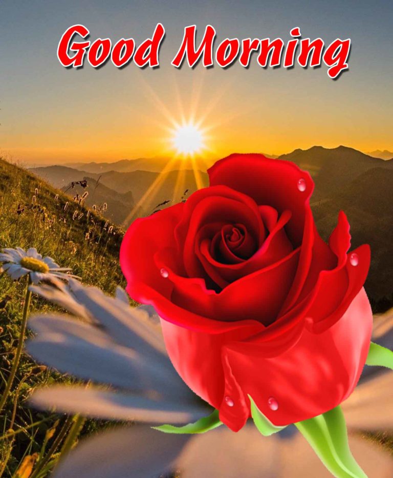 63+ Beautiful Good Morning Images, GIF Download » Cute Pictures | Photo ...